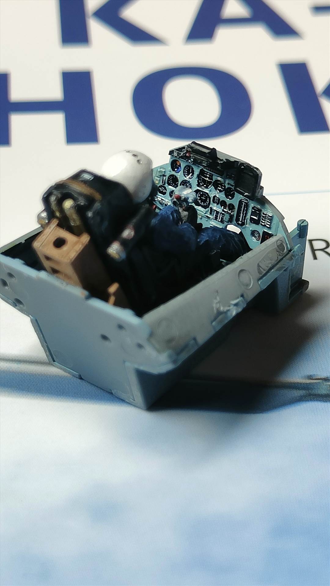 1:48 Baltic flanker. Research help needed - Work in Progress - Aircraft - Britmodeller.com